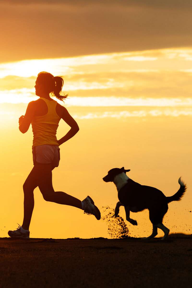 How Many Calories Do I Burn A Day? - Love Life Be Fit