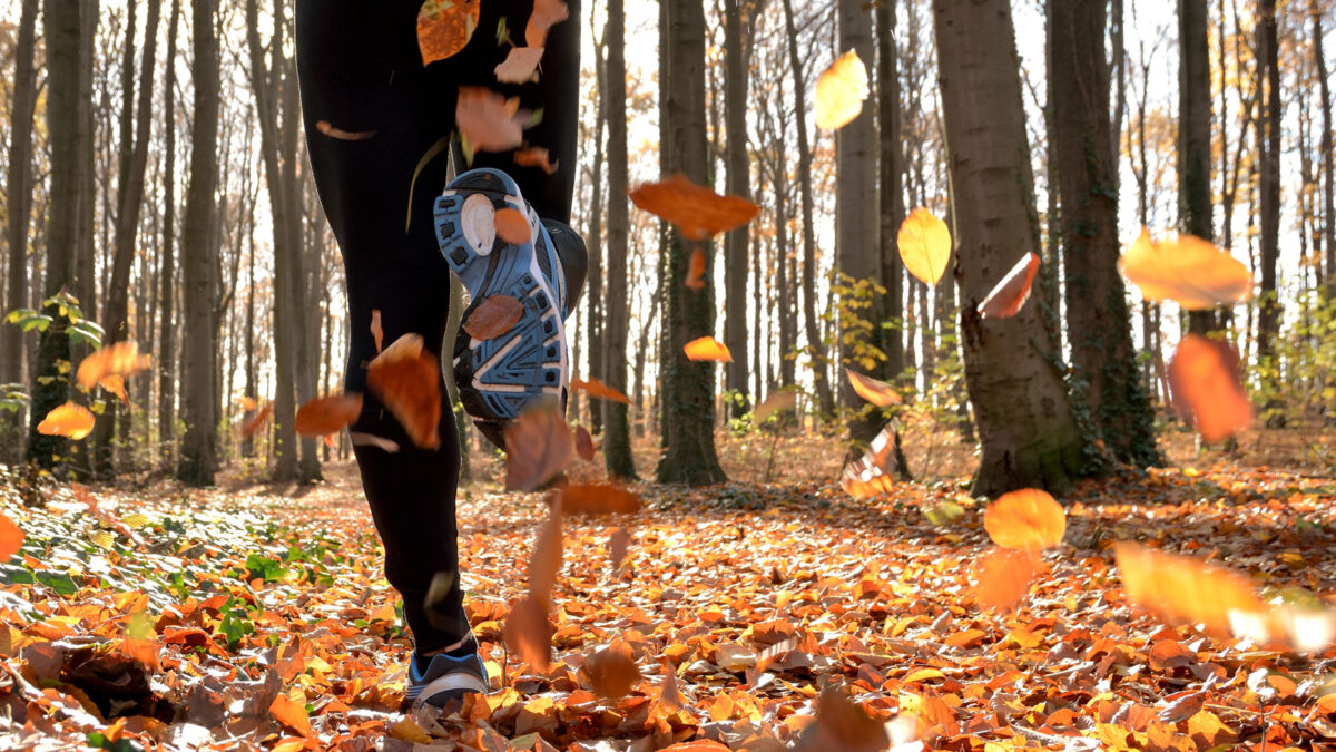 Couch To 5K Walking Plan For Beginners: 6 Weeks To Walk 5K - Love Life ...