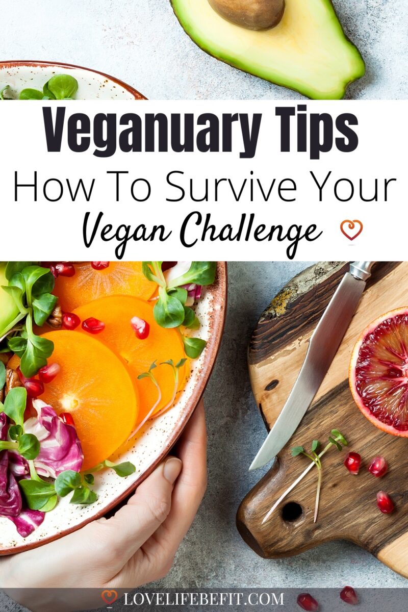 Veganuary 2026: Top Tips To Survive Your Vegan Challenge - Love Life Be Fit