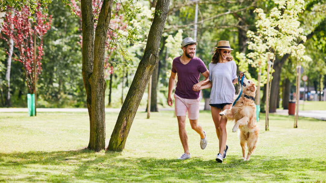 Walking 5 Miles A Day: Benefits & What Happens To Your Body?
